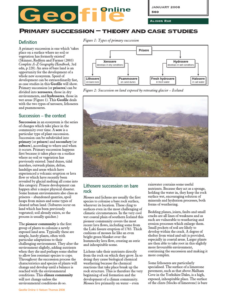 Understanding Psammosere Succession | PDF | Dune | Weathering