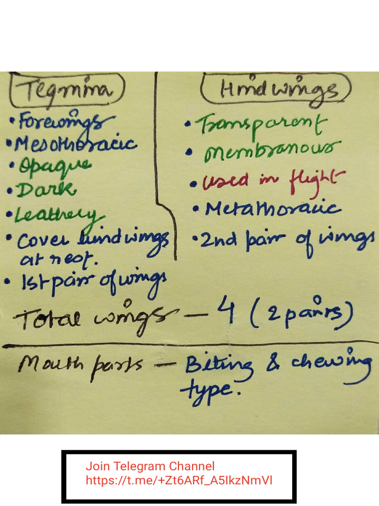 Biology Sticky Notes by Topper | PDF