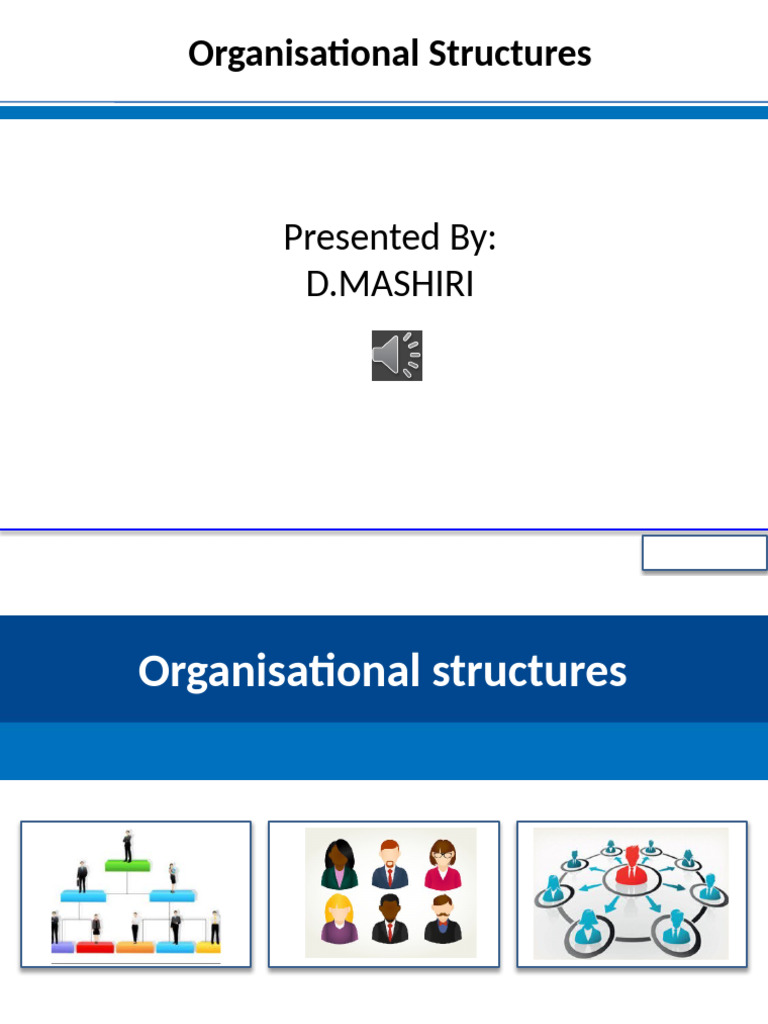 Organisational Structure Overview | PDF | Organizational Structure ...