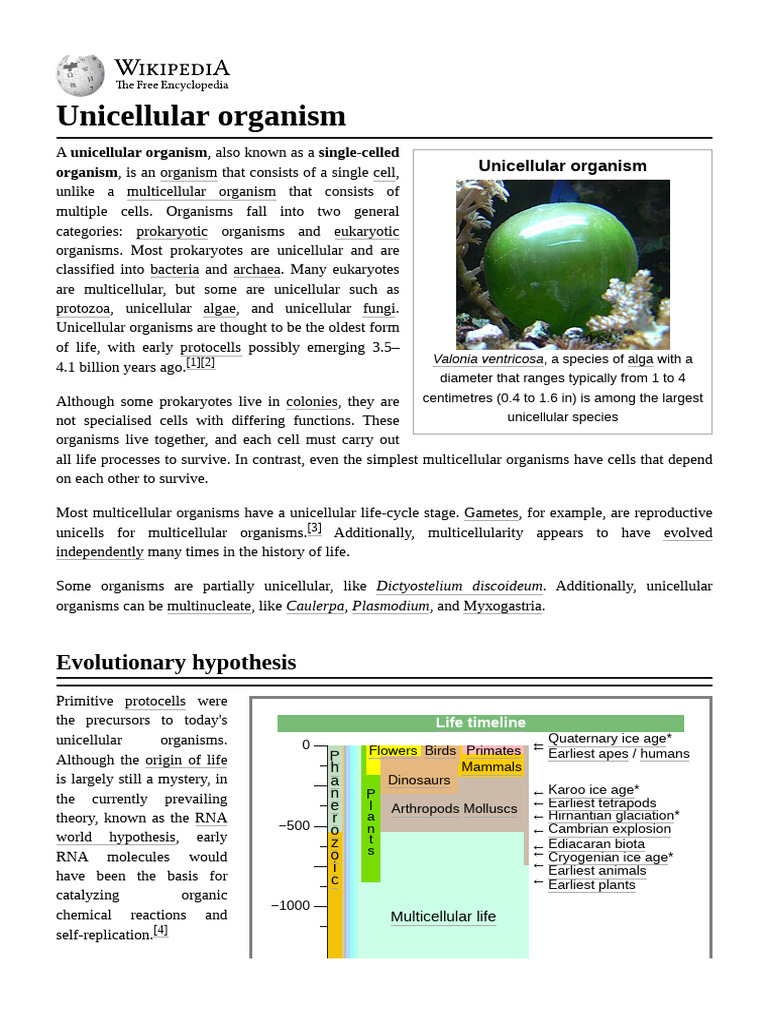 Unicellular_organism | PDF | Prokaryote | Cell (Biology)