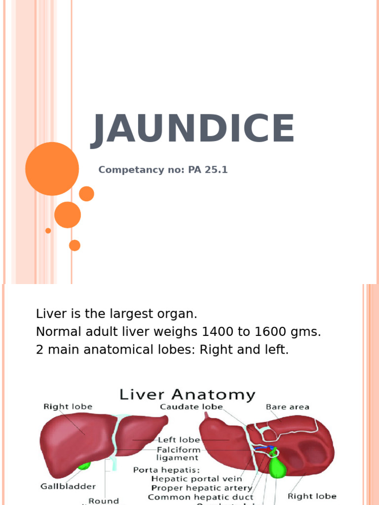 Understanding Jaundice and Bilirubin Metabolism | PDF | Liver | Bile