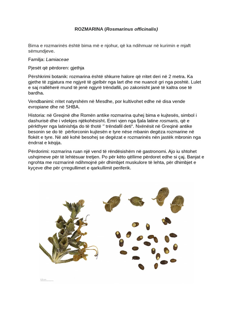 ROZMARINA | PDF