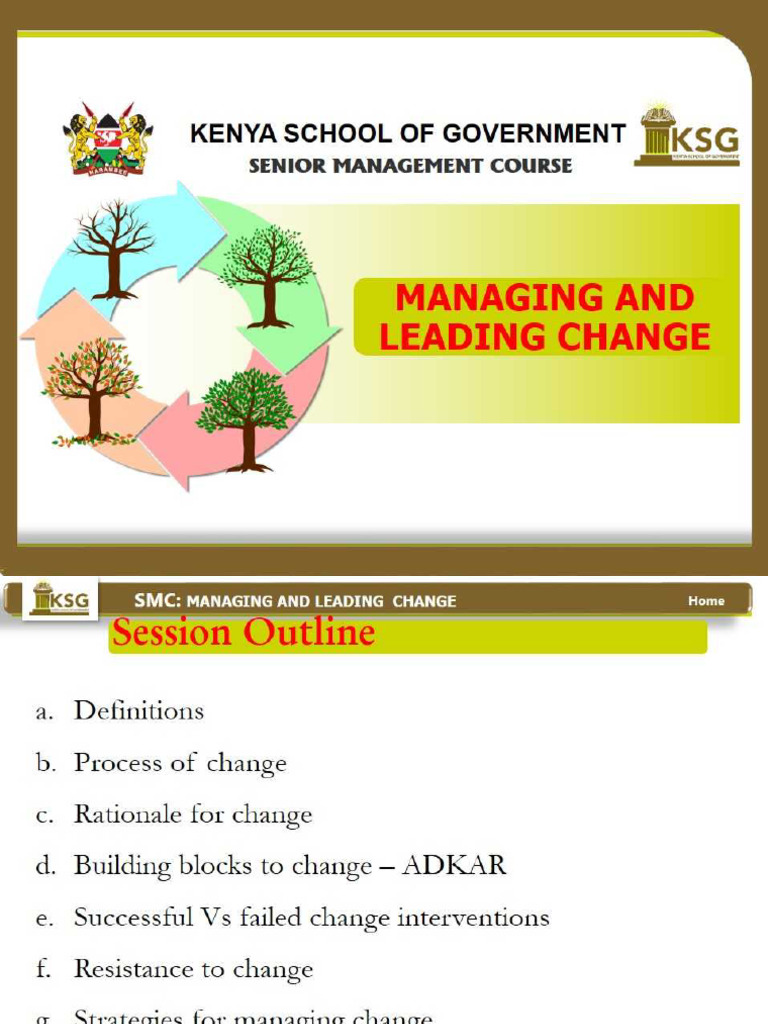 Managing and Leading Change | PDF