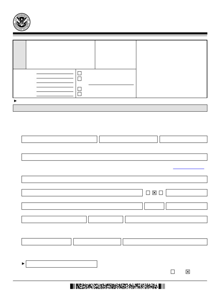 Filled Form | PDF | H 1 B Visa | United States Citizenship And ...