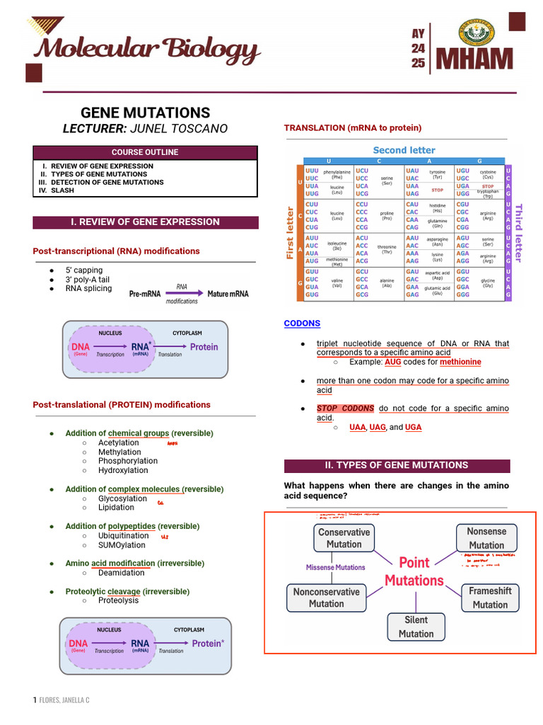 Understanding Gene Mutations and Detection | PDF | Point Mutation ...