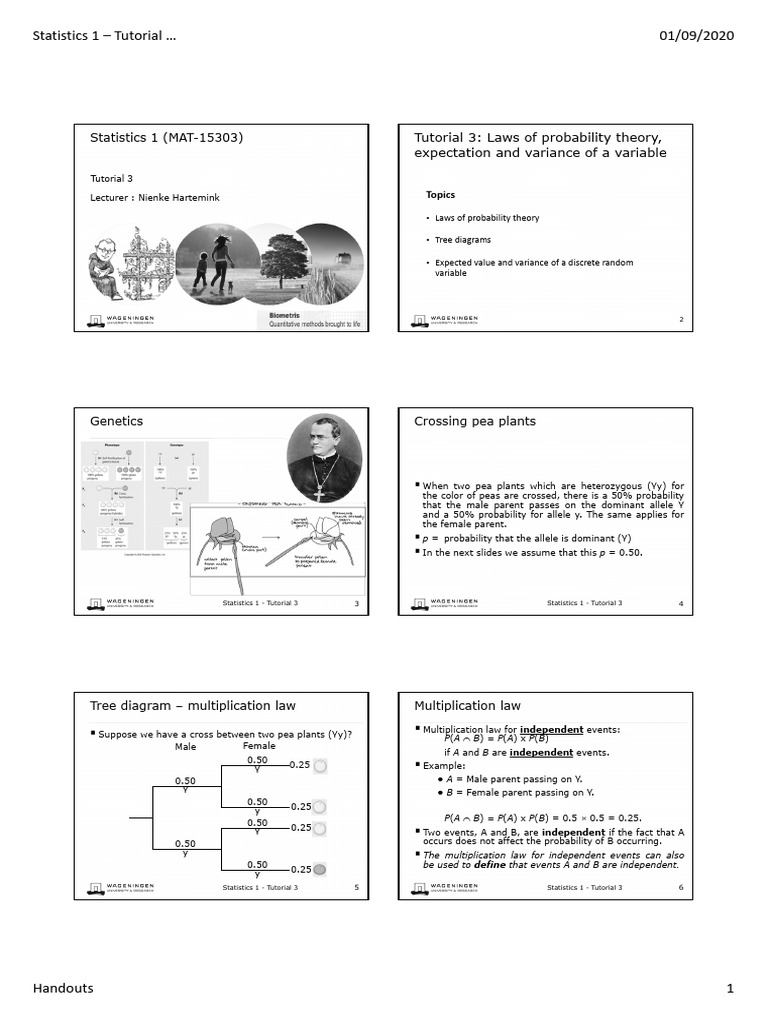 Statistics 1 - Tutorial 3 - Online | PDF | Expected Value | Variance