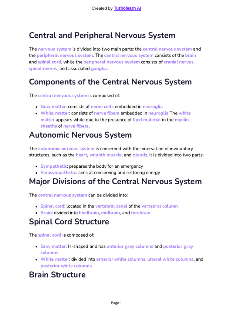 CNS JADS LIGHT | PDF | Brainstem | Central Nervous System