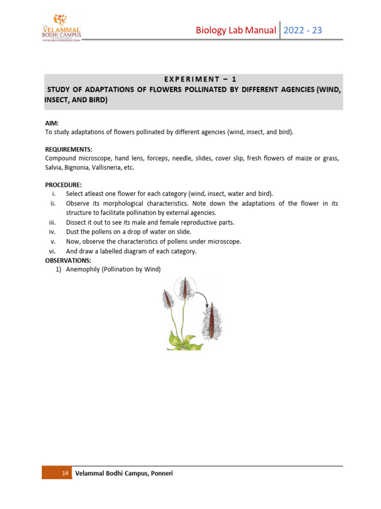 Flower Adaptations for Pollination Study | PDF | Flowers | Petal