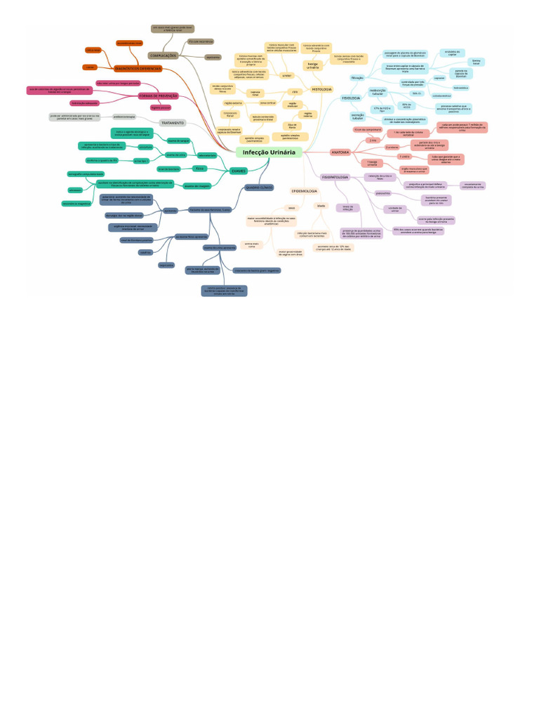 Mapa 5 - Infecção Urinária | PDF