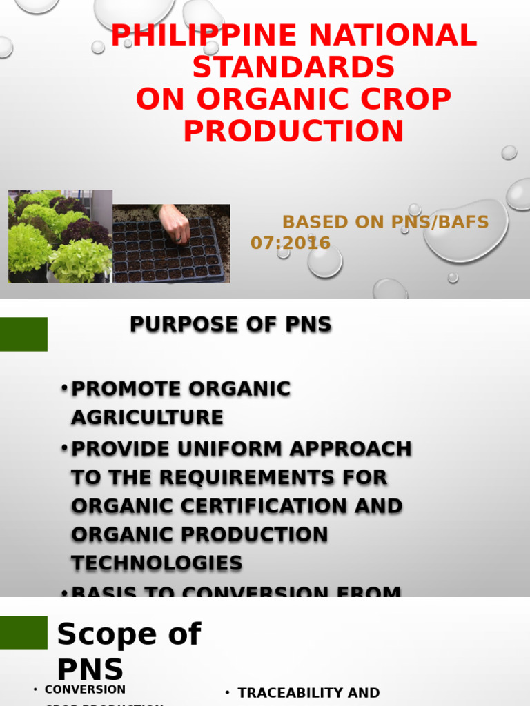 Produce Organic Vegetables | PDF | Vegetables | Organic Farming