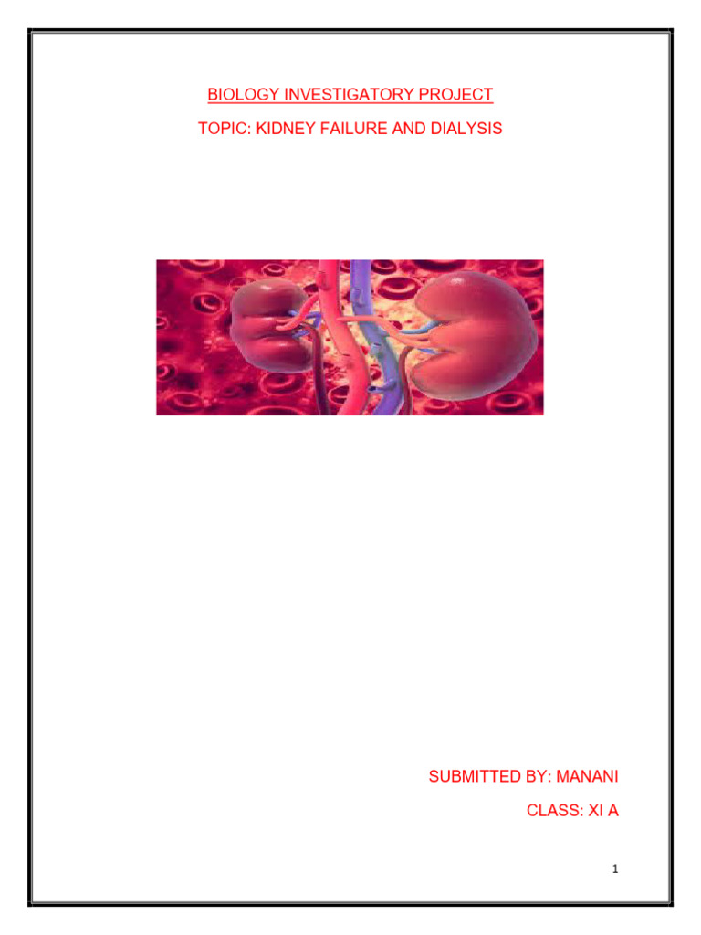 Kidney Failure and Dialysis - Manani | PDF | Kidney | Chronic Kidney ...