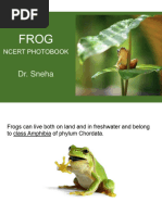 Frog vs Human Organ Systems Explained | PDF | Human Digestive System ...
