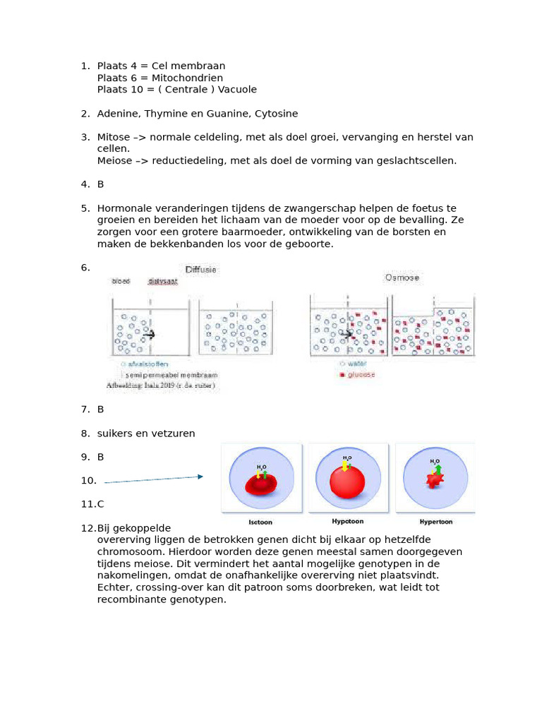 Mini Toets BIO Antwoorden | PDF