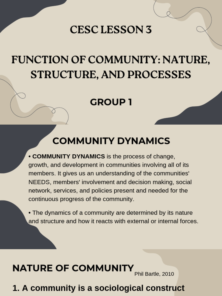Cesc - Lesson 3 Presentation_group 1 | PDF | Community | Leadership