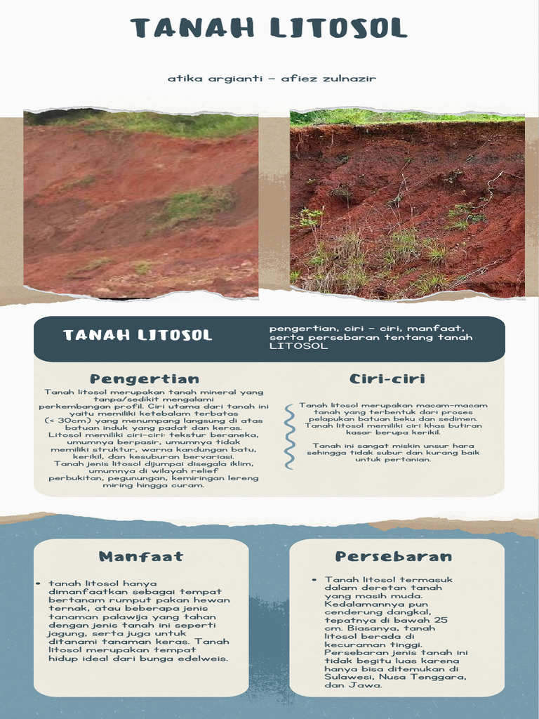 tugas tanah LITOSOL atika | PDF