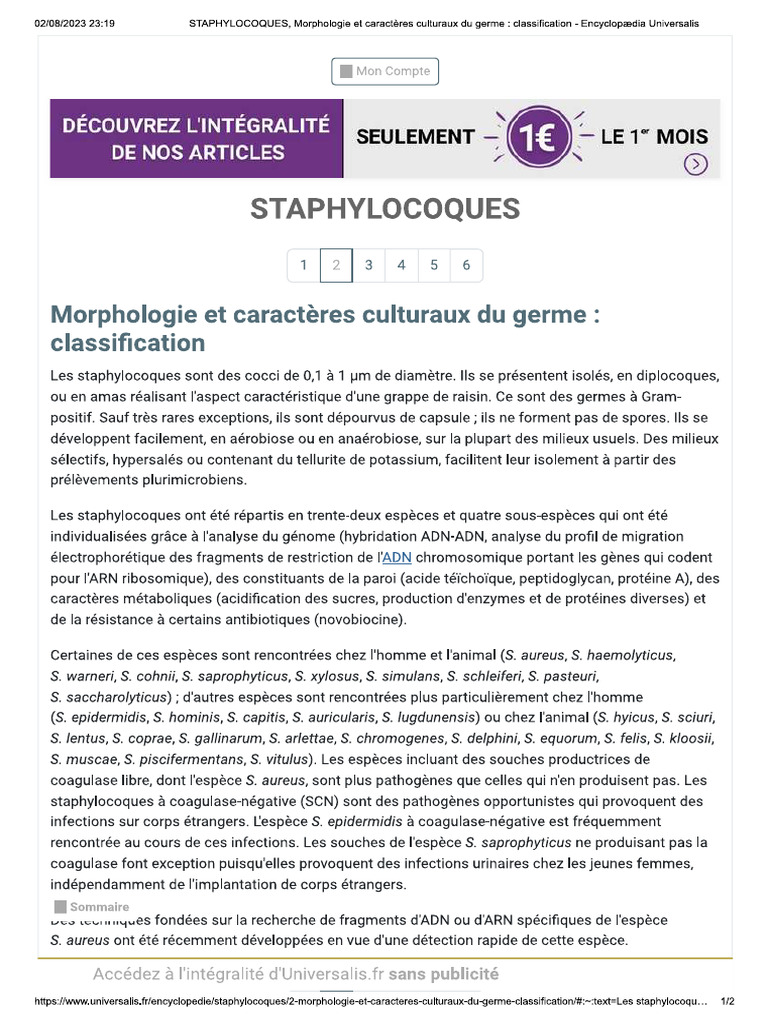 Staph | PDF