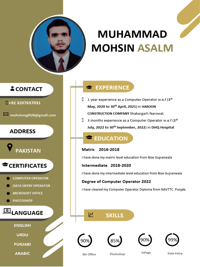 Mohsin CV | PDF