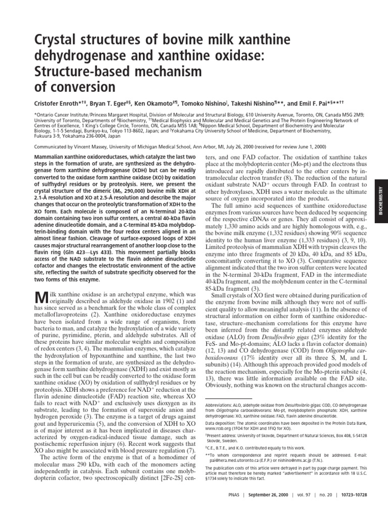 Crystal Structures of Bovine Milk Xanthine | PDF | Active Site | Enzyme