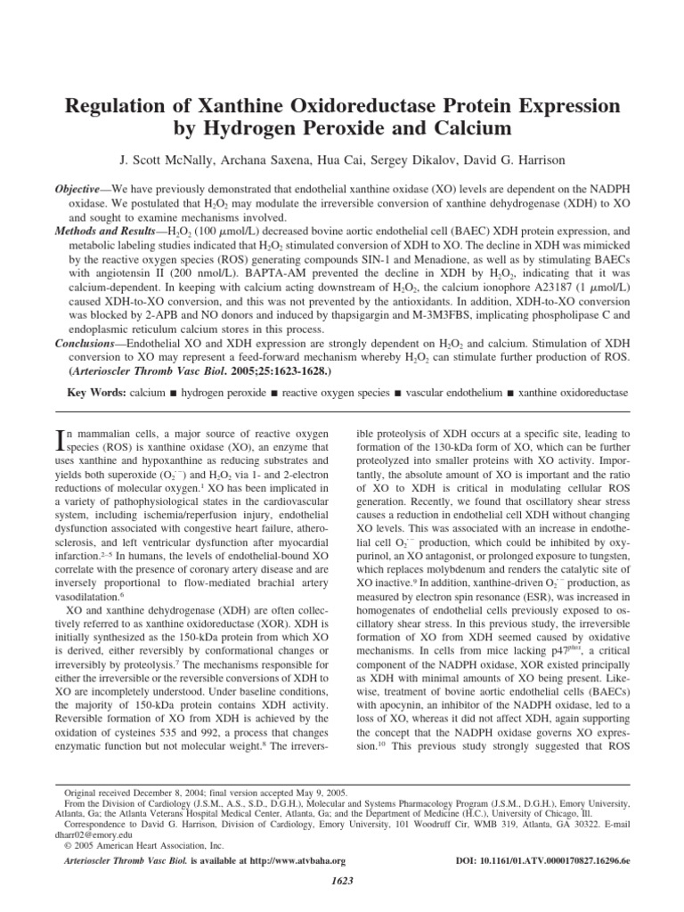 Regulation of Xanthine Oxidoreductase Protein Expression by Hydrogen ...