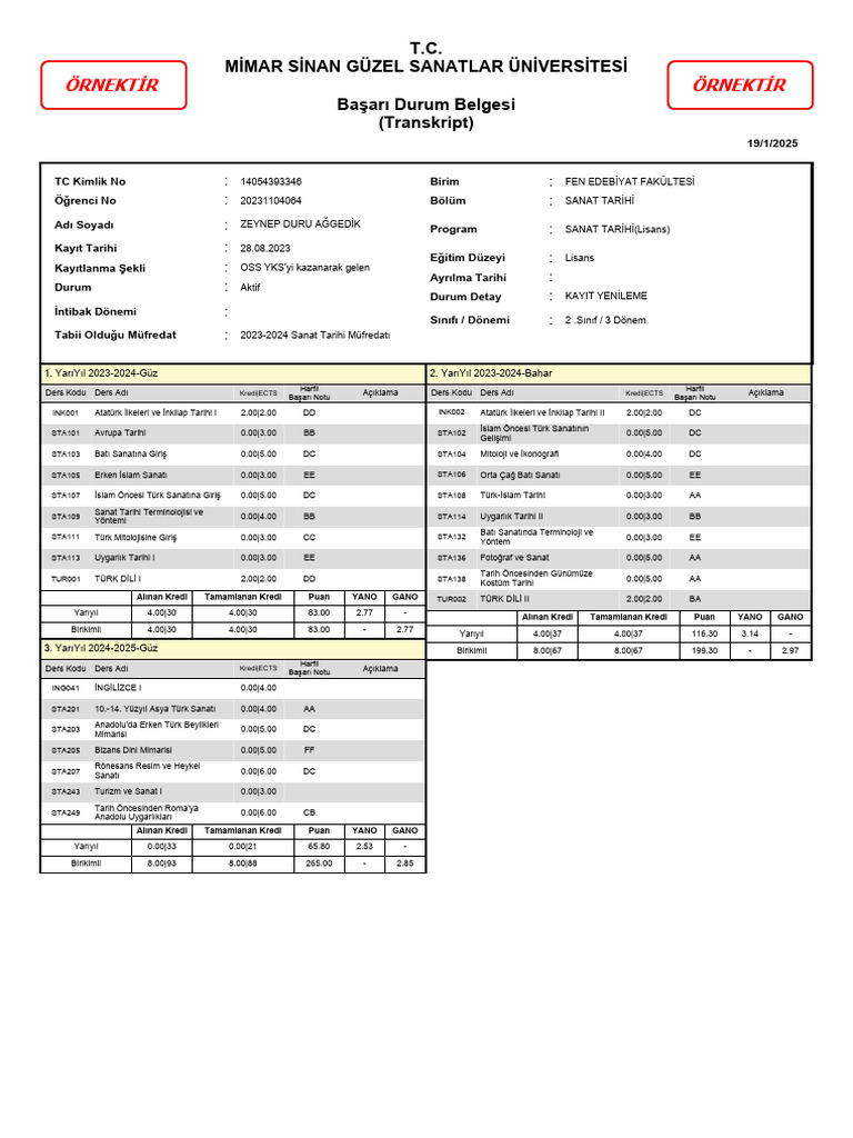 Transkript - 1 - 19 - 2025 3 - 29 - 08 PM | PDF