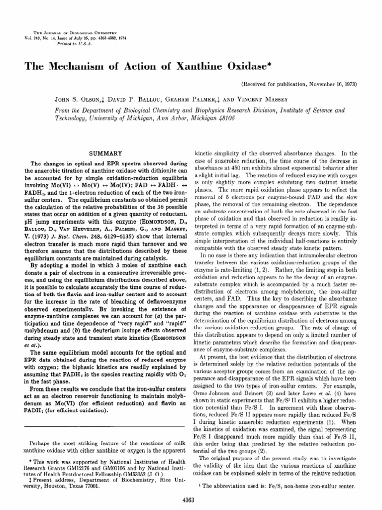 The Mechanism of Action of Xanthine Oxidase | PDF | Redox | Chemical Reactions