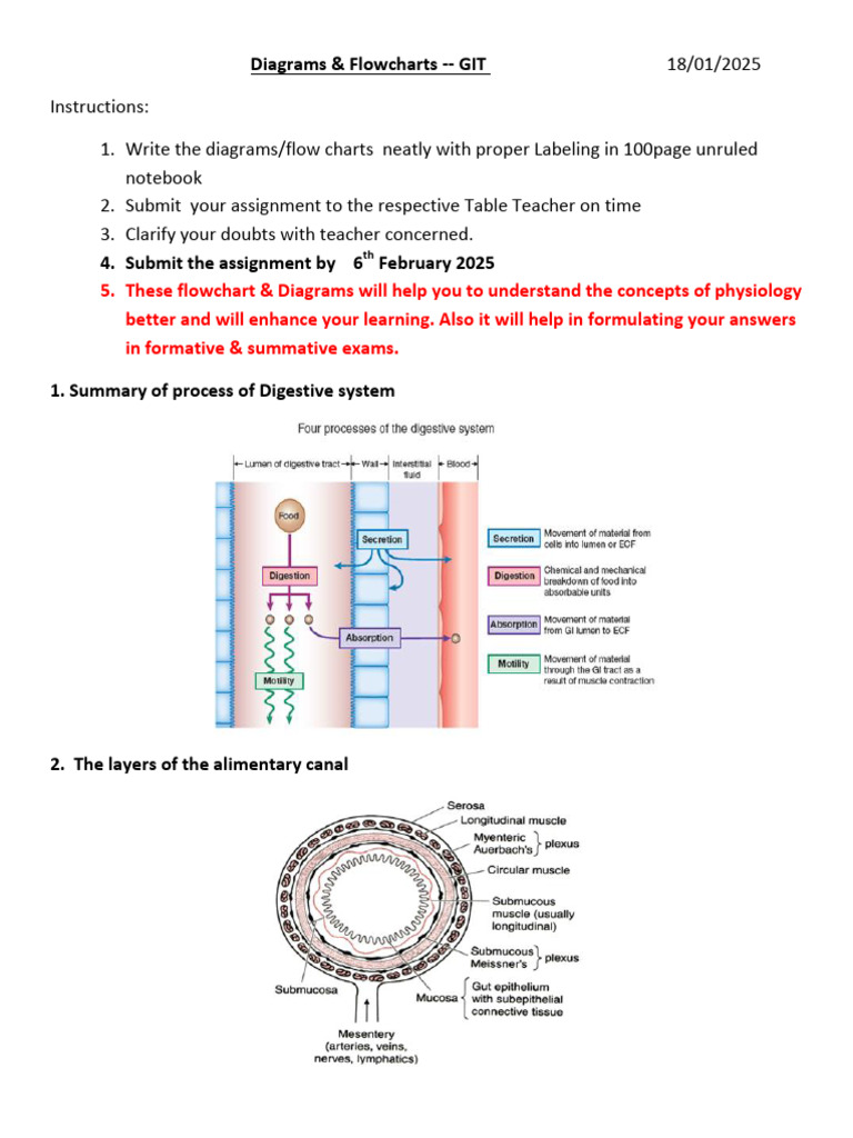 GIT Flowchart Diagrams | PDF