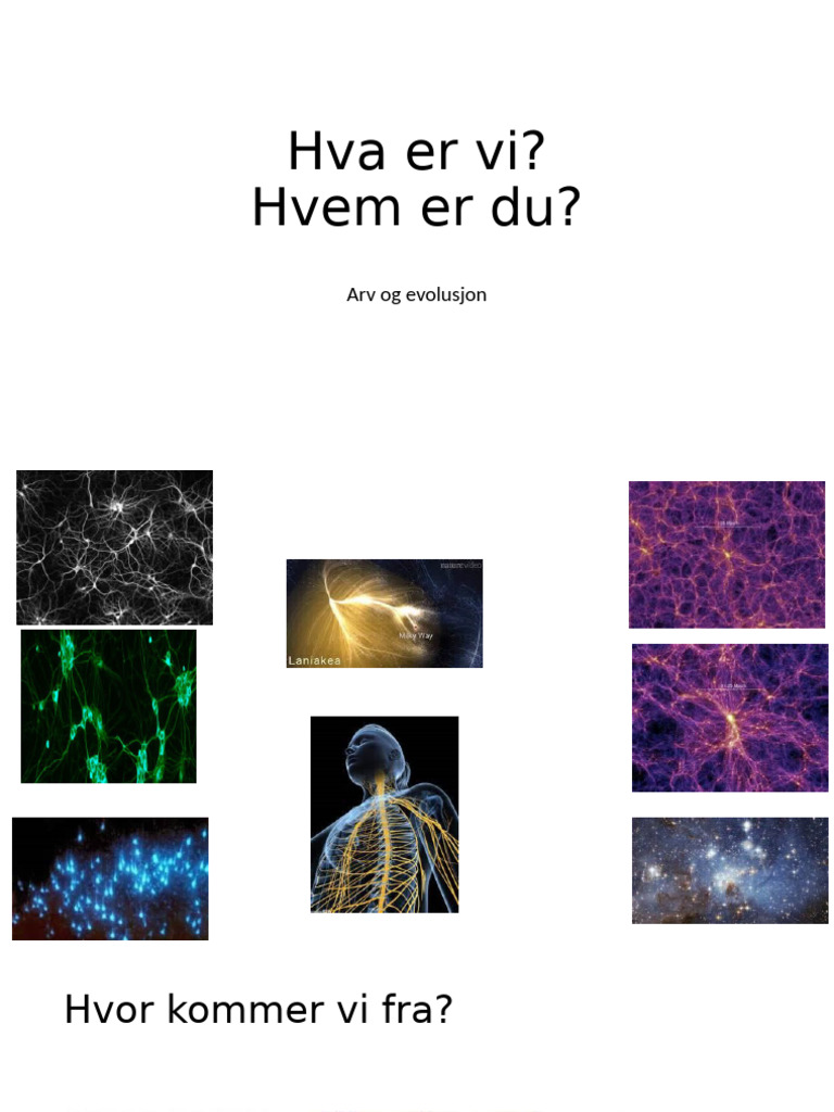 Kap.4 Gener og arv | PDF