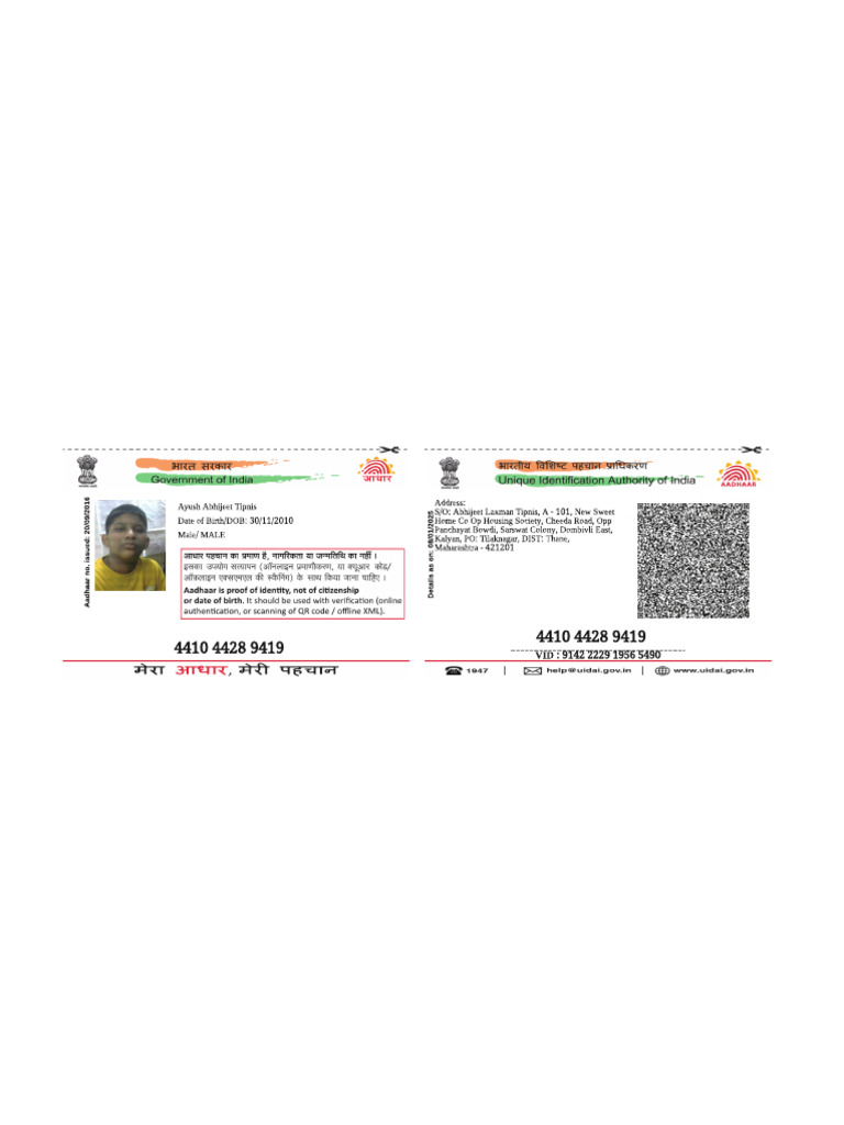 Ayush Tipnis | PDF