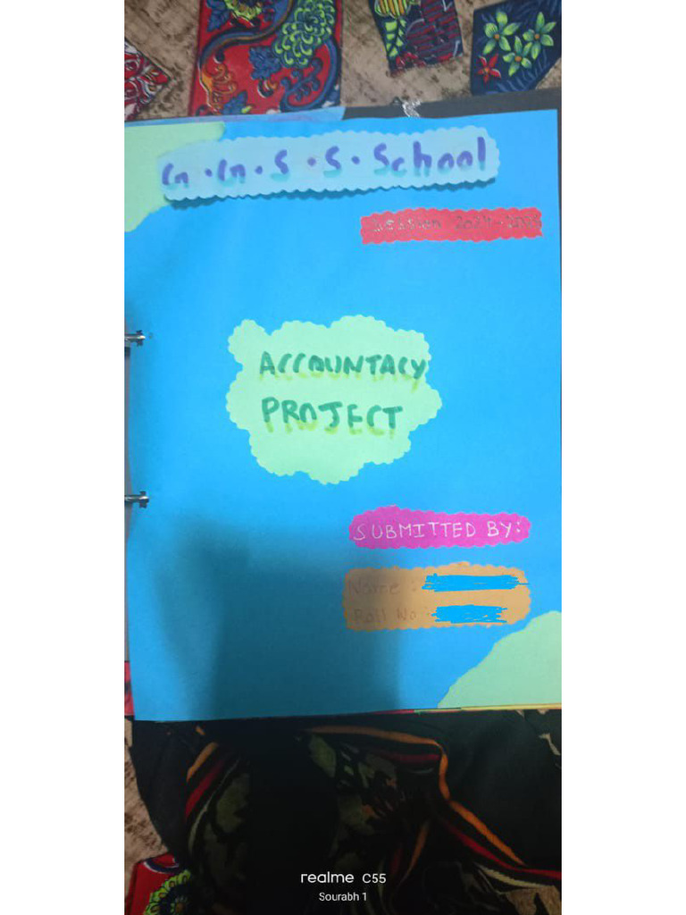 Accounts_project File 12 | PDF