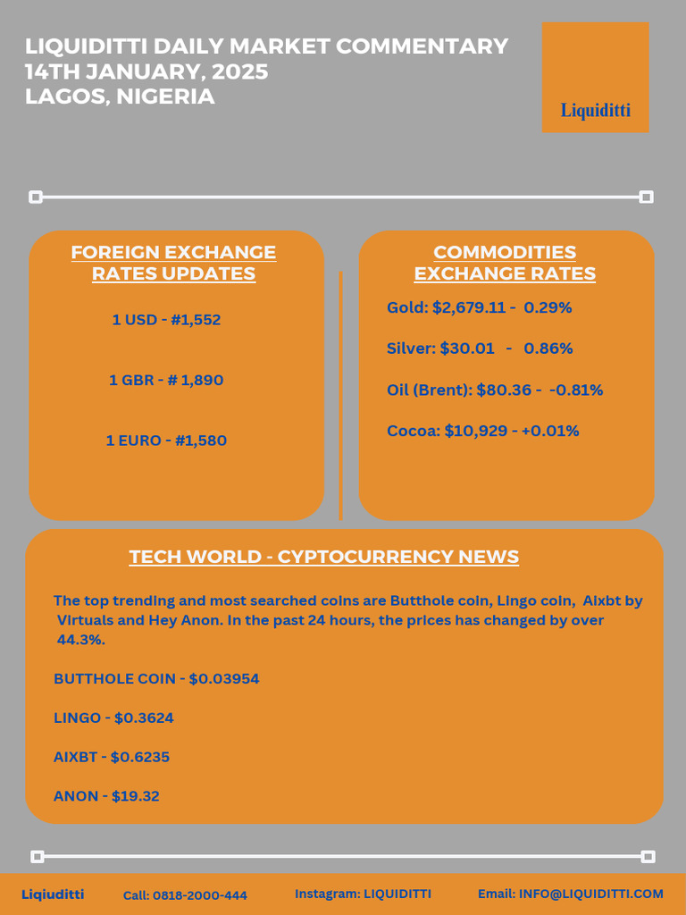Daily Market Commentary: Forex & Crypto Updates | PDF