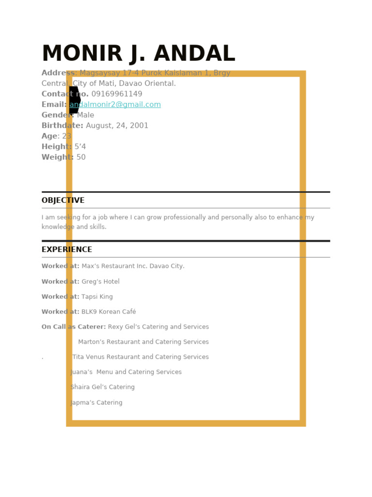 Monir's Resume | PDF