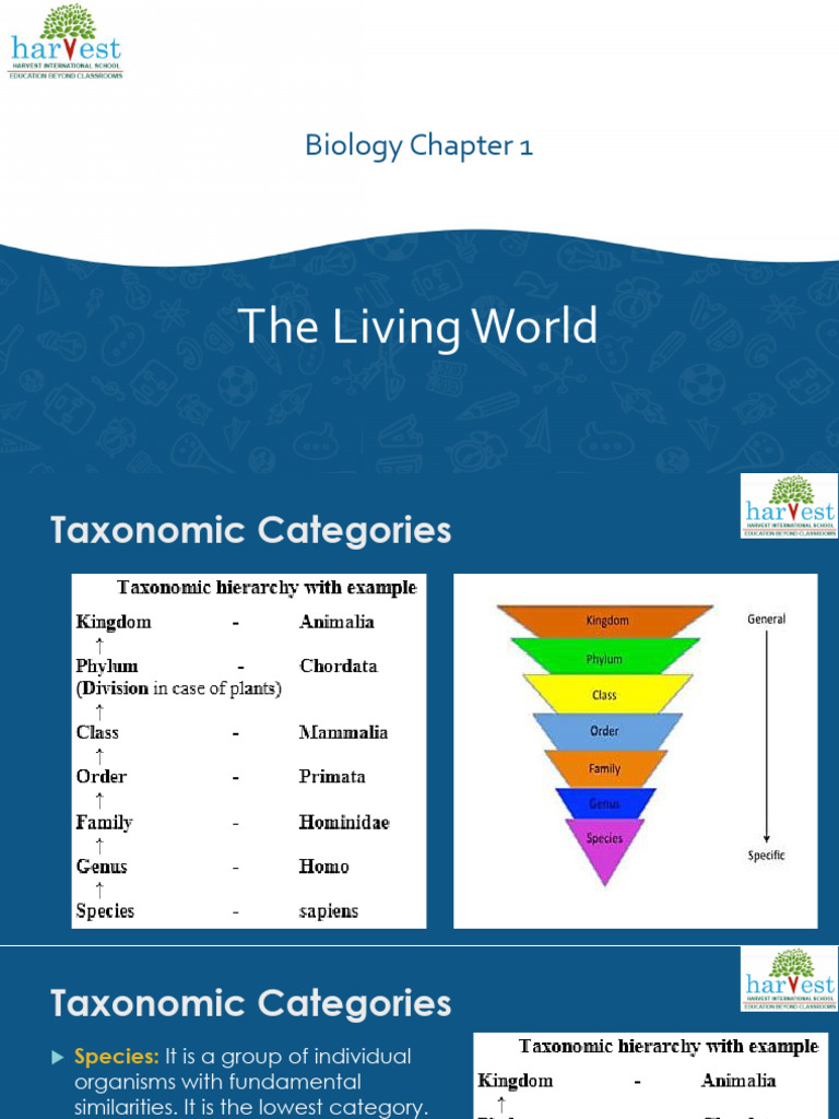 1 The Living World | PDF