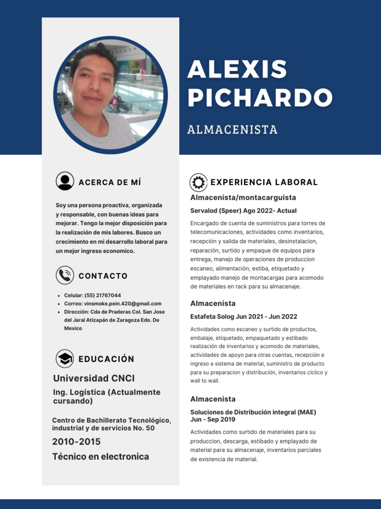 Curriculum Vitae Alexis | PDF | Economias