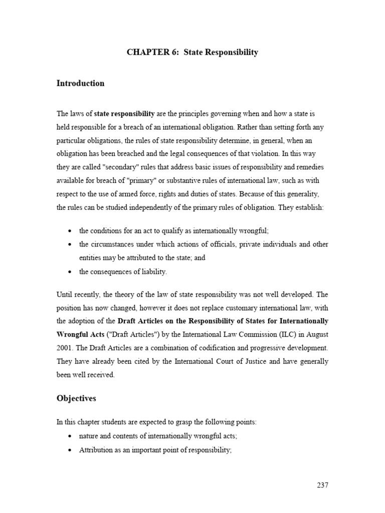 State Responsibilty | PDF