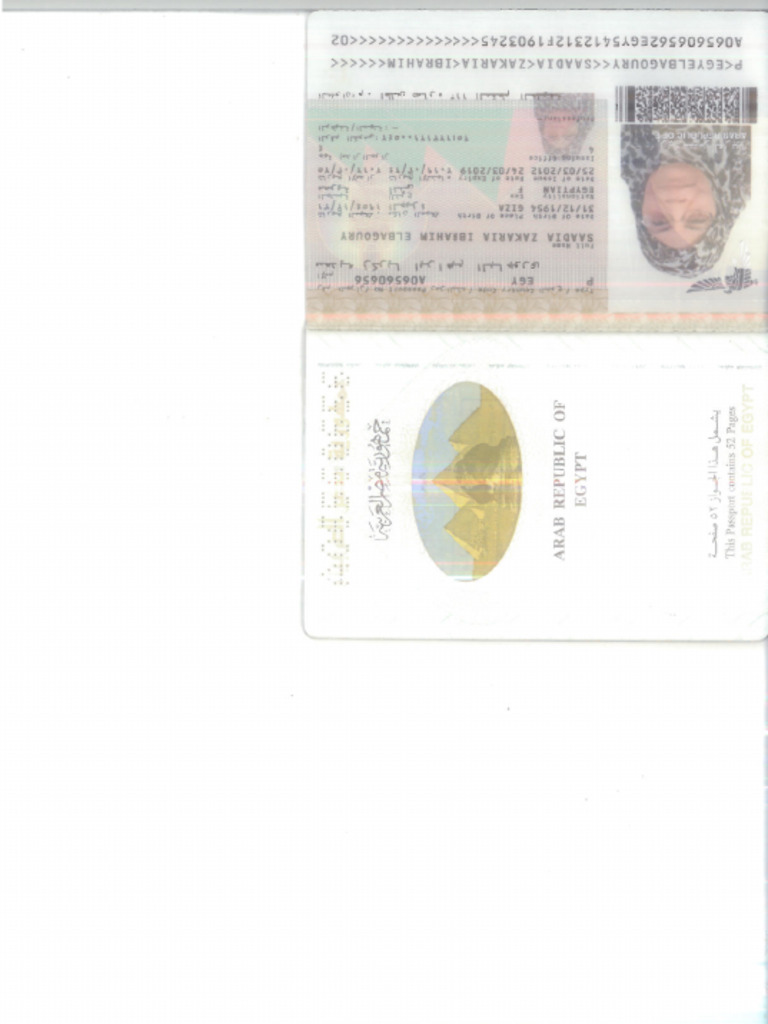 Passport | PDF