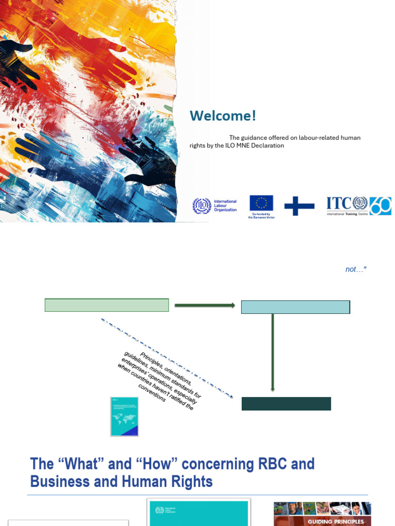 ILO MNE Declaration: Labour Rights Webinar | PDF | International Labour ...