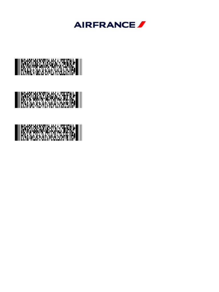 Airport Barcodes for January 24, 2025 | PDF