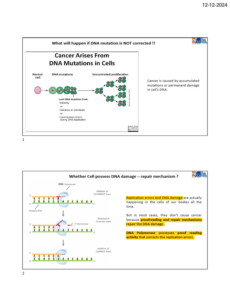UNITIII - PPT2 - Dna Repair Mechanisms | PDF | Dna Repair | Dna