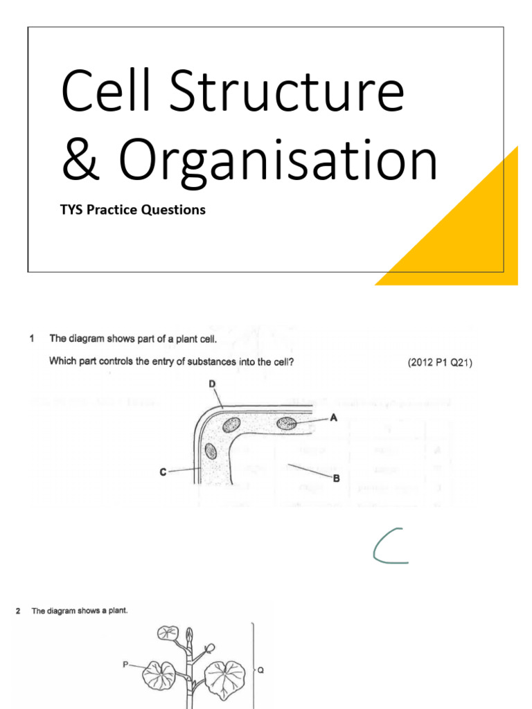 Zhao Xiao (CTSS) - 1 Cell Structure and Organisation TYS Qns | PDF