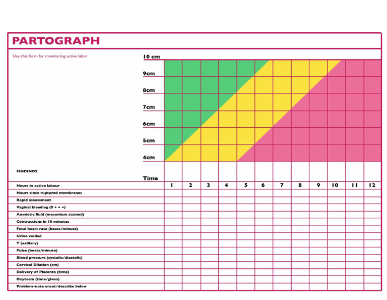 Partograph Form | PDF