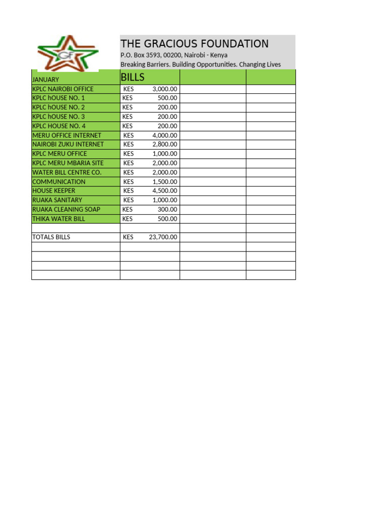 January Bills Summary for Gracious Foundation | PDF