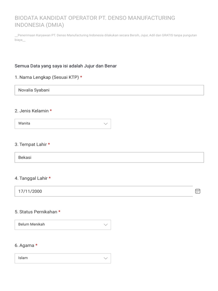 Biodata Kandidat Operator Pt. Denso Manufacturing Indonesia (Dmia) | PDF