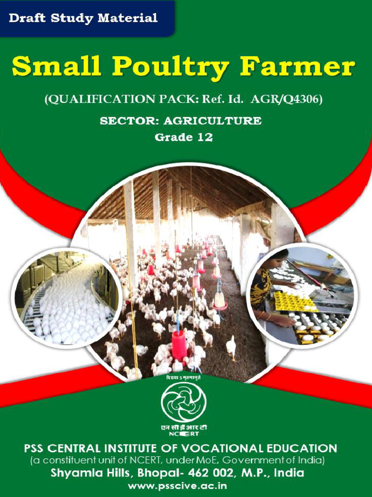 Small Poultry Farmer English Class 12 | PDF | Yolk | Poultry Farming