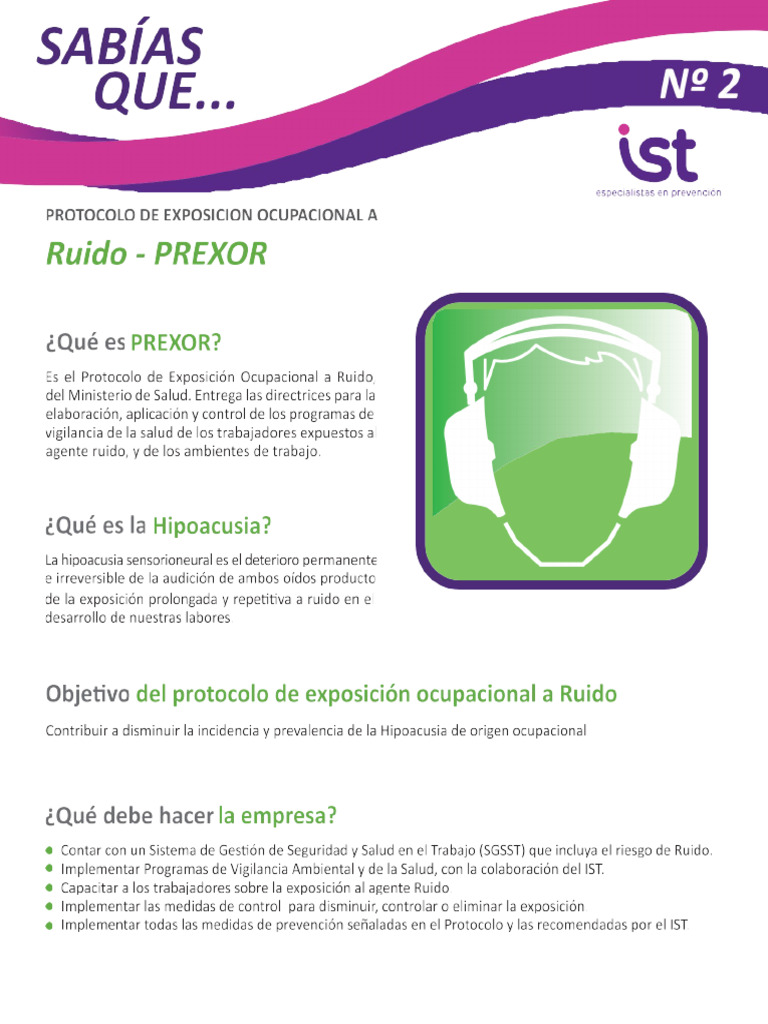 Prexor Sabías Que N2 | PDF