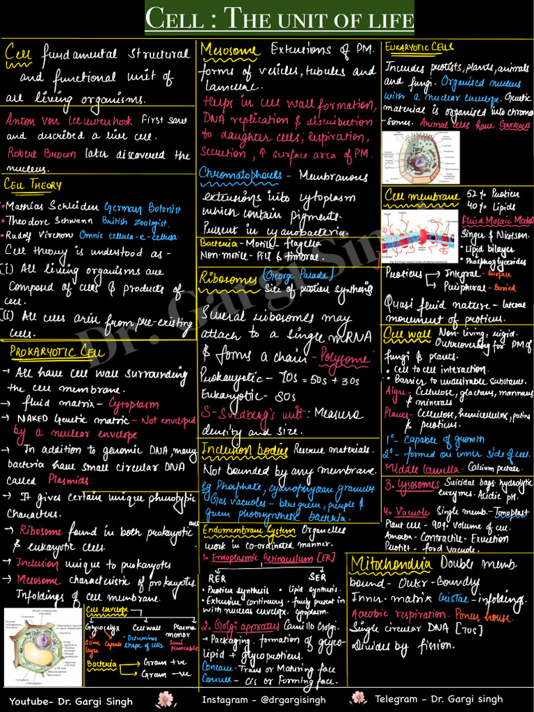 One Page Notes - Cell | PDF