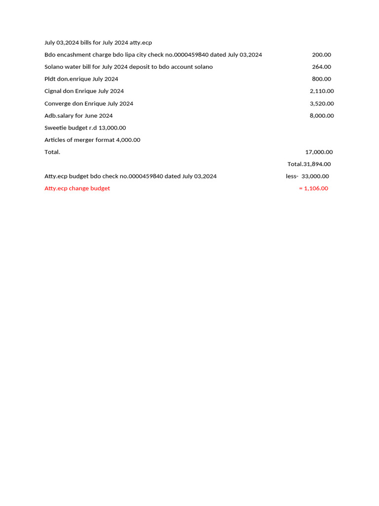 July 2024 Budget and Expenses Summary | PDF