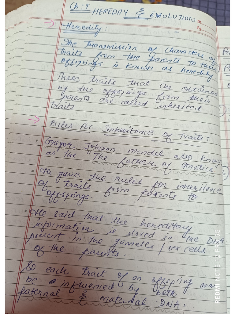 Heredity Notes 2 | PDF