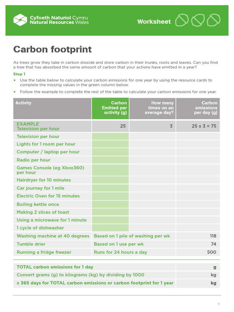 Eng Worksheet Carbon Footprint | PDF | Trees | Carbon Footprint