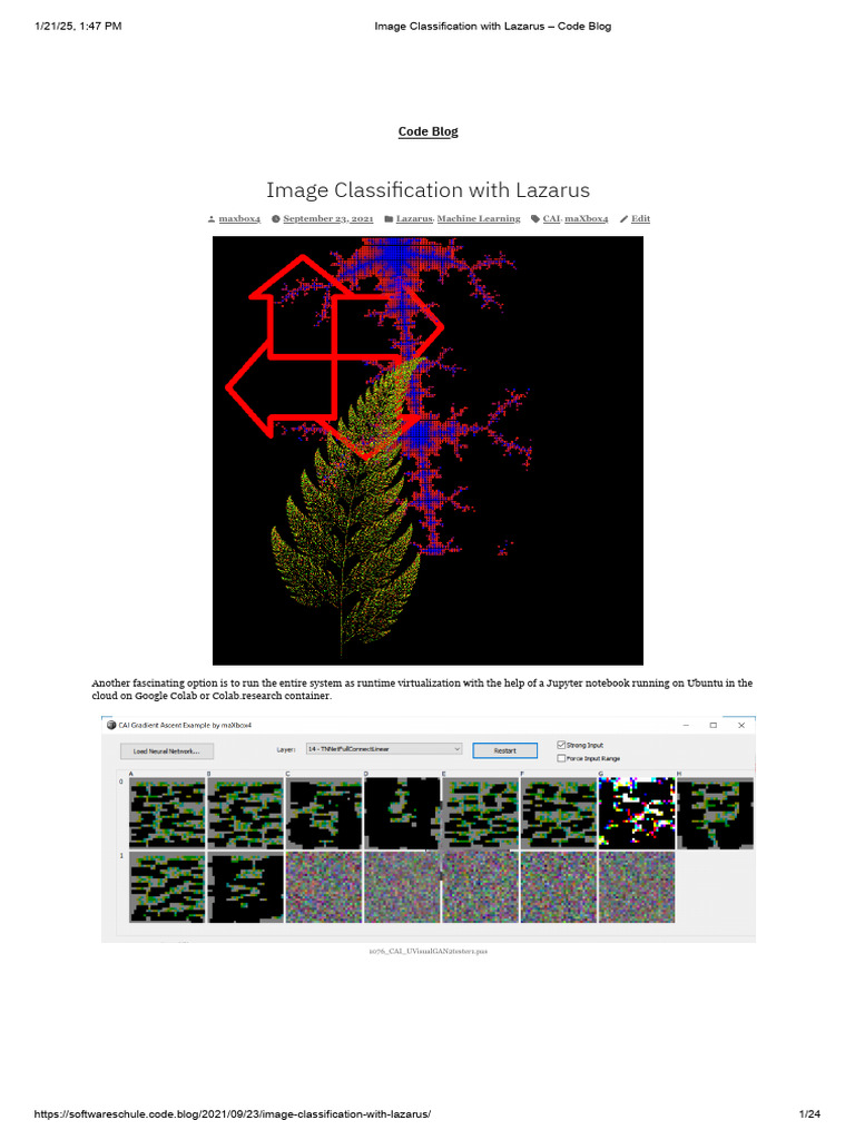 Image Classification With Lazarus On Google Colab Ubuntu Linux | PDF