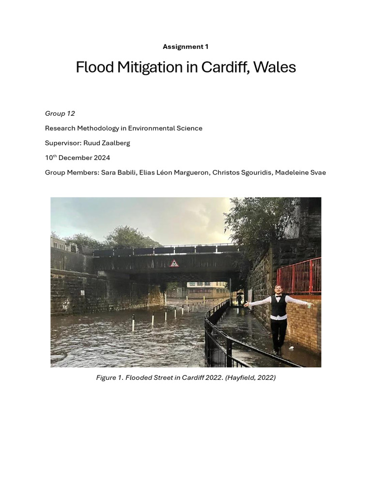 Backyard Flood Mitigation in Cardiff | PDF | Validity (Statistics) | Flood